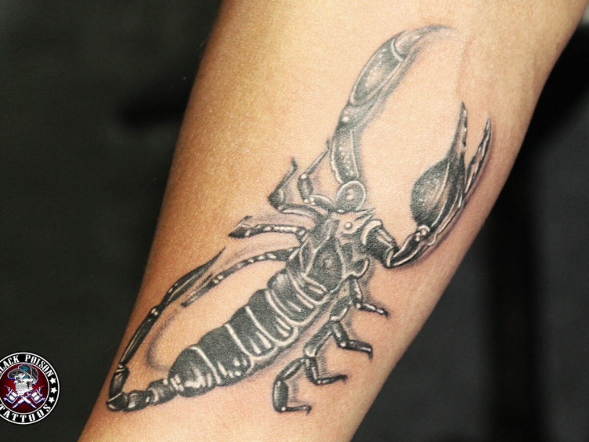 Egyptian scorpion tattoo - Bronctattooaus.com