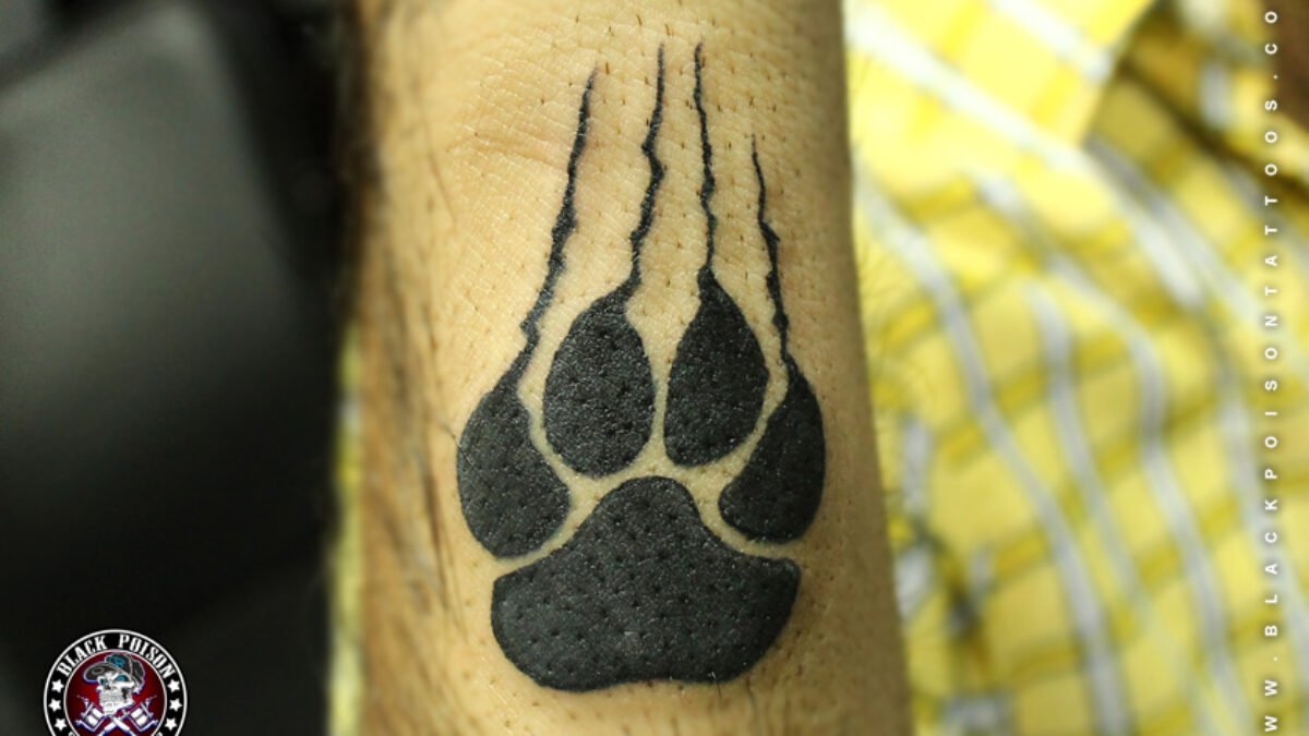 Bear Claw Scratch Tattoos One From Last Week!